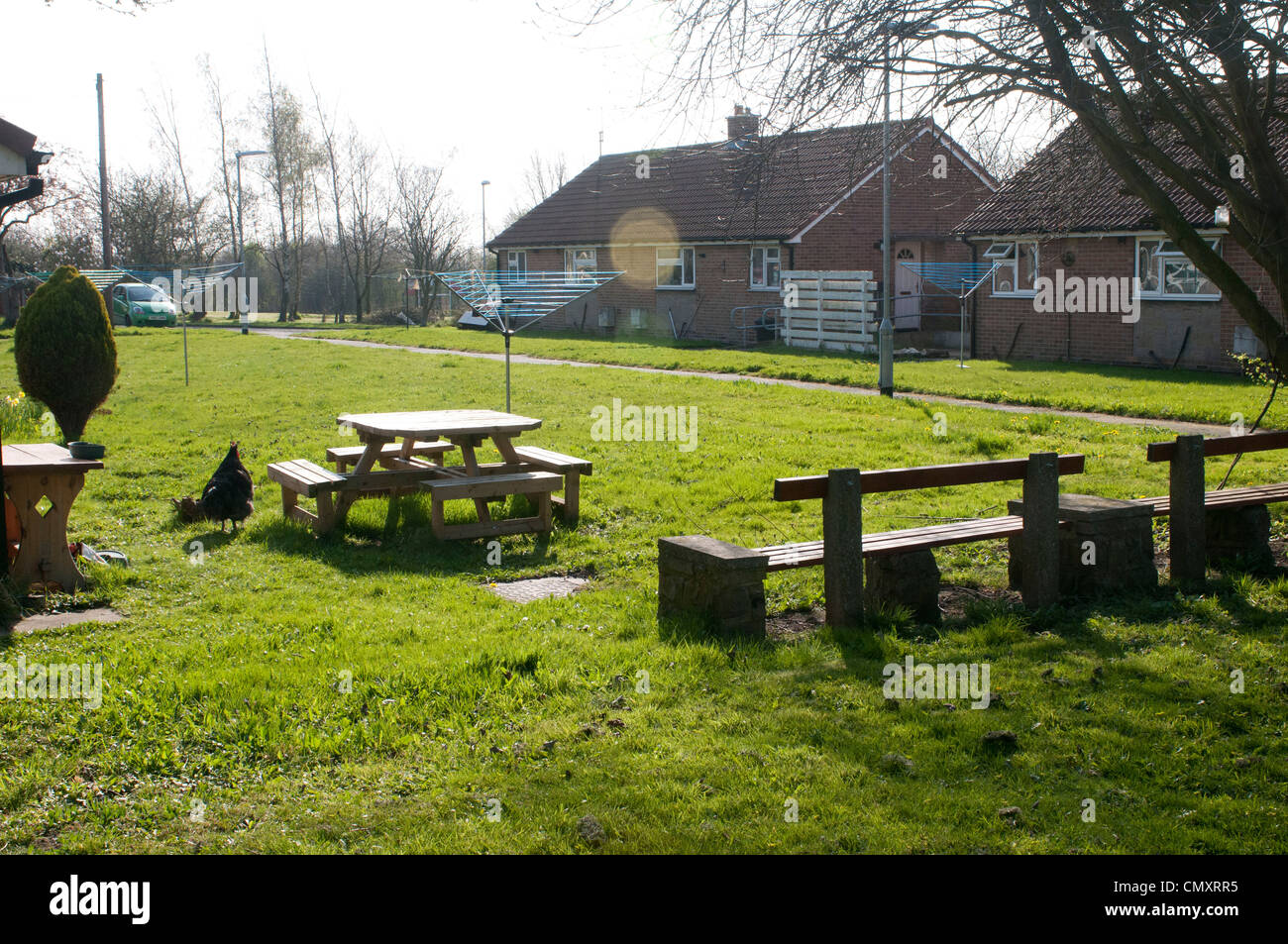 Cockerel at Ledston Luck Stock Photo - Alamy