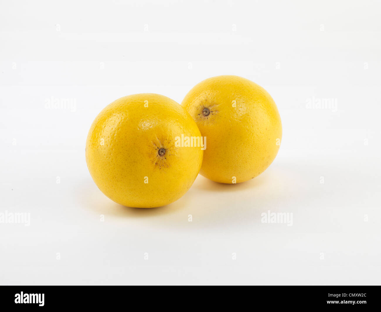 Citrus fruits catalog hi-res stock photography and images - Alamy
