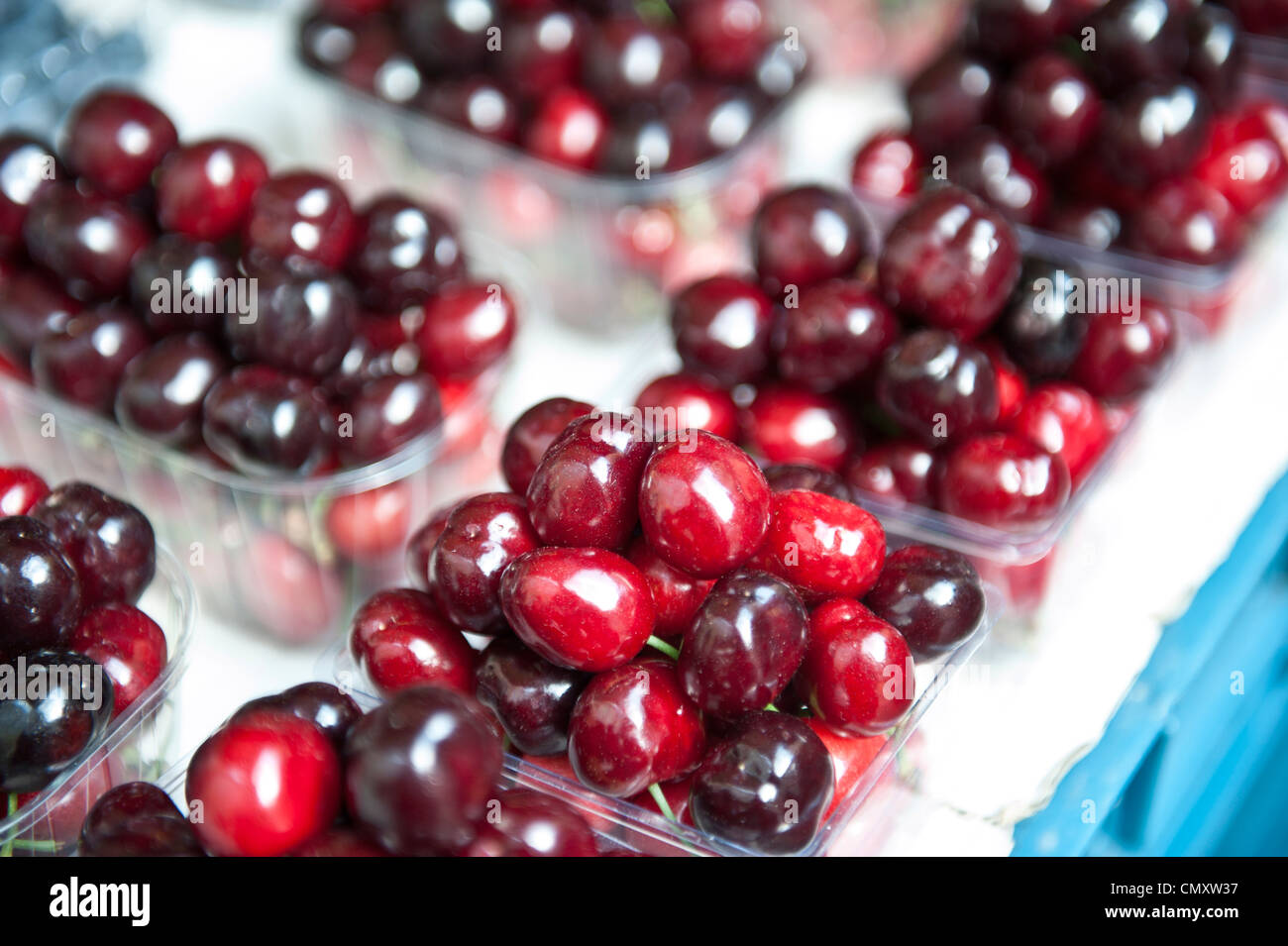 Outdoor shot of fresh cherries grouped in plastic containers Stock ...