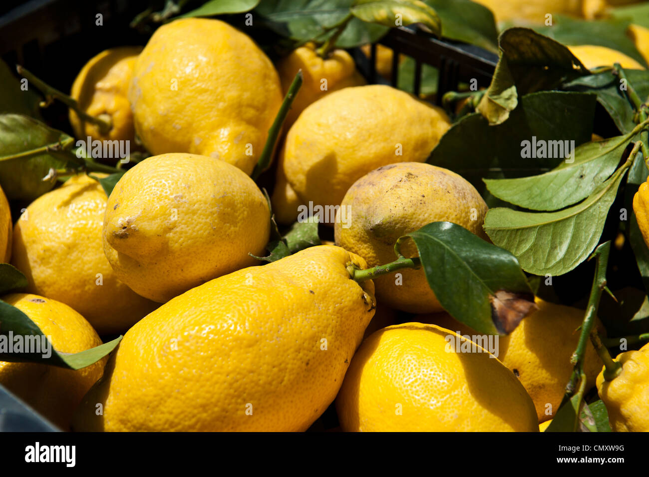 Fruit lump hi-res stock photography and images - Alamy