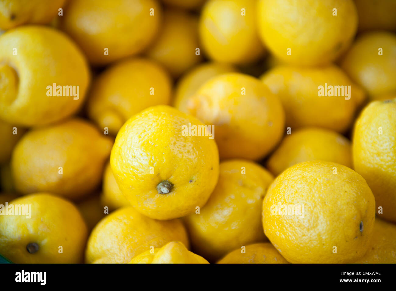 Closeup of sour lemons Stock Photo - Alamy