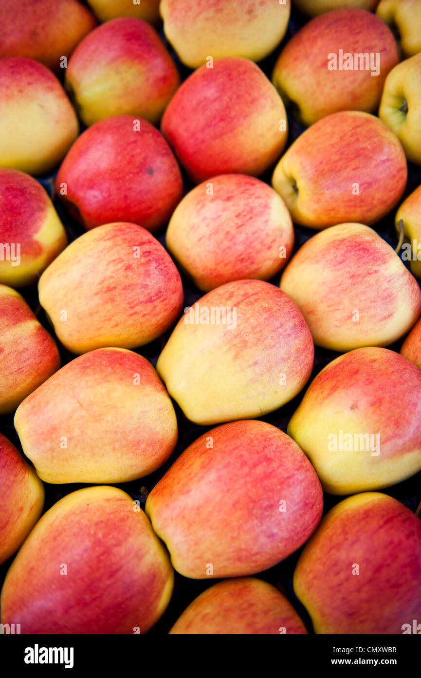 Packed closely hi-res stock photography and images - Alamy