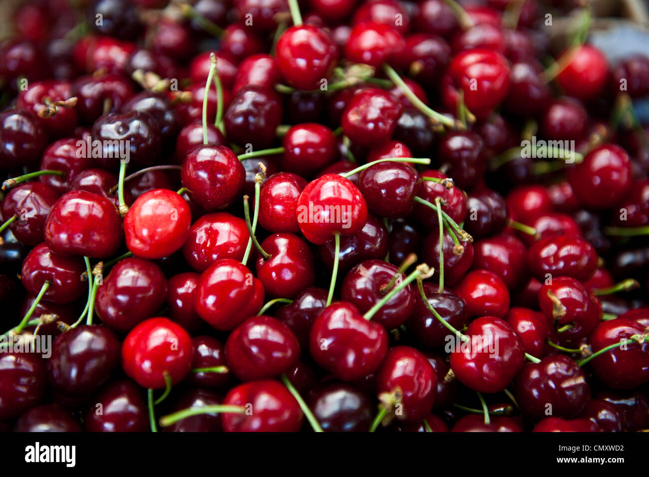 Bunch cherry berry hi-res stock photography and images - Alamy