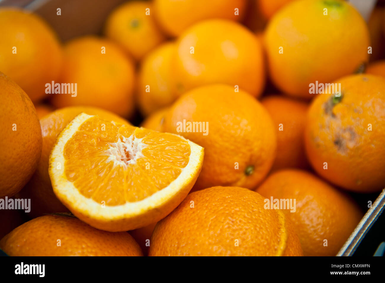 Orange pith hi-res stock photography and images - Alamy