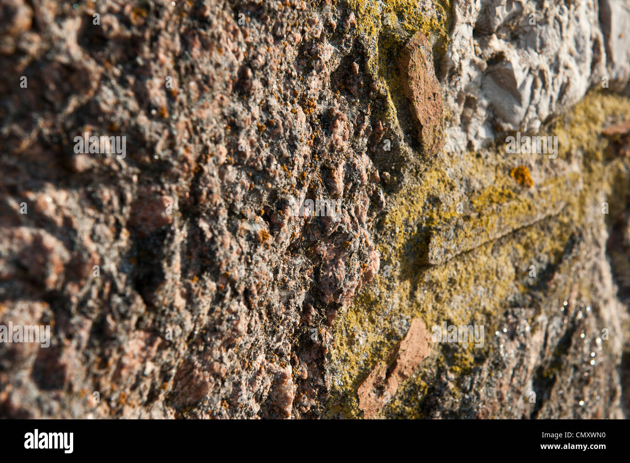 Algae on the rocks hi-res stock photography and images - Alamy