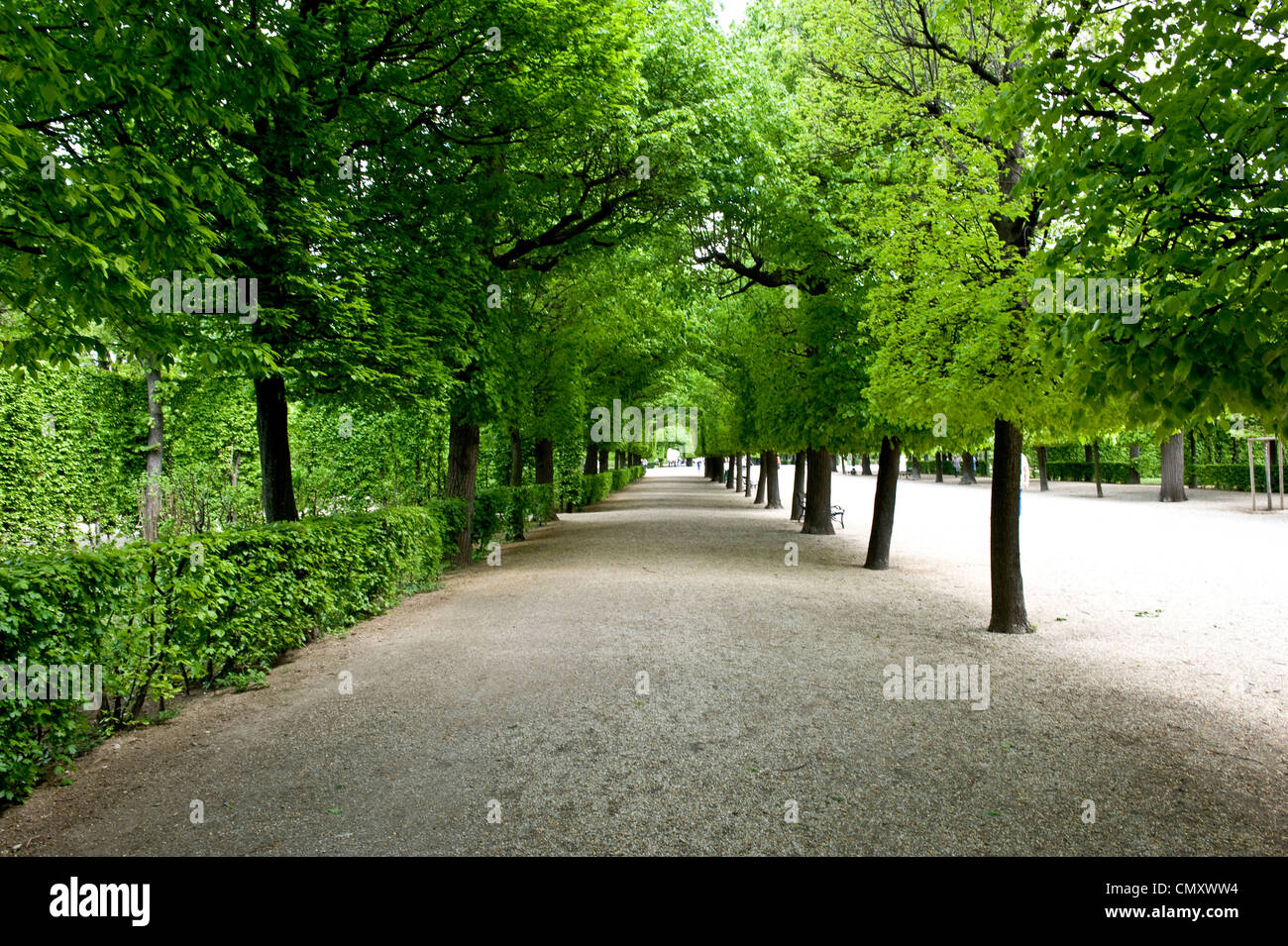 Straight hedges hi-res stock photography and images - Alamy