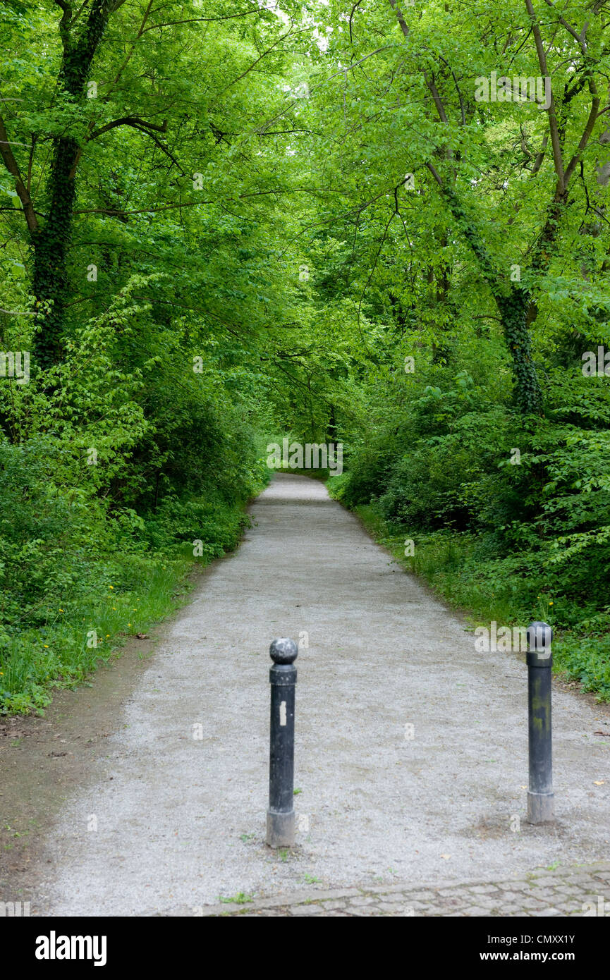A bike path in the middle of a frenzy of trees Stock Photo - Alamy