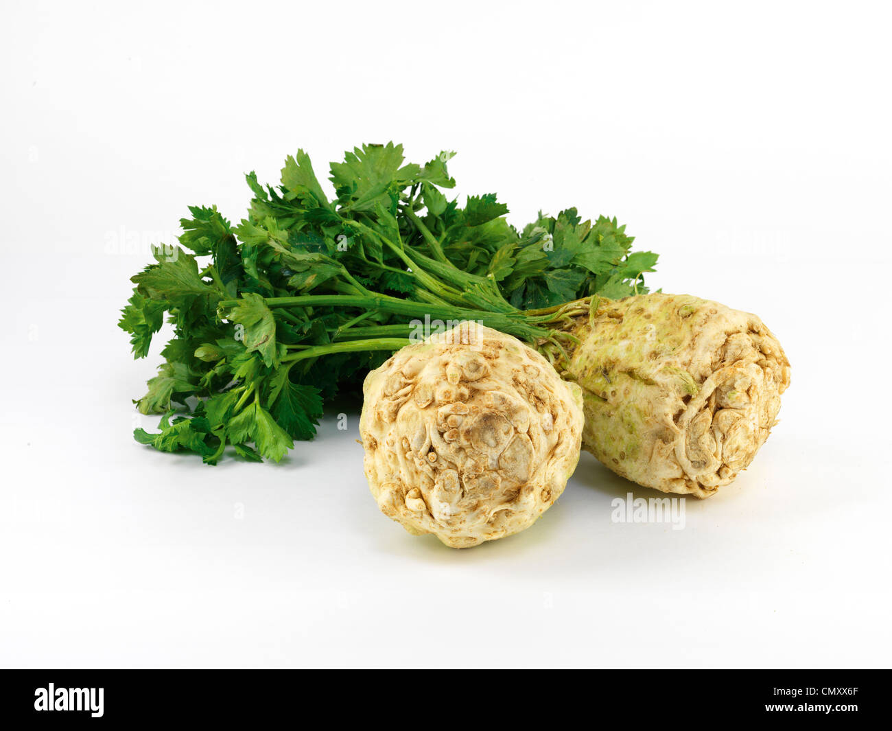 Eat celery hi-res stock photography and images - Alamy