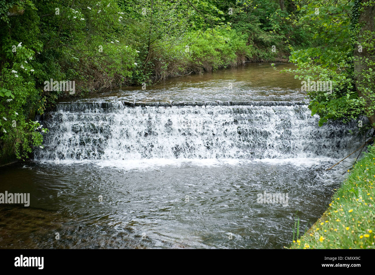 A nice view of a small cascading waterfall fringed by trees in a forest ...