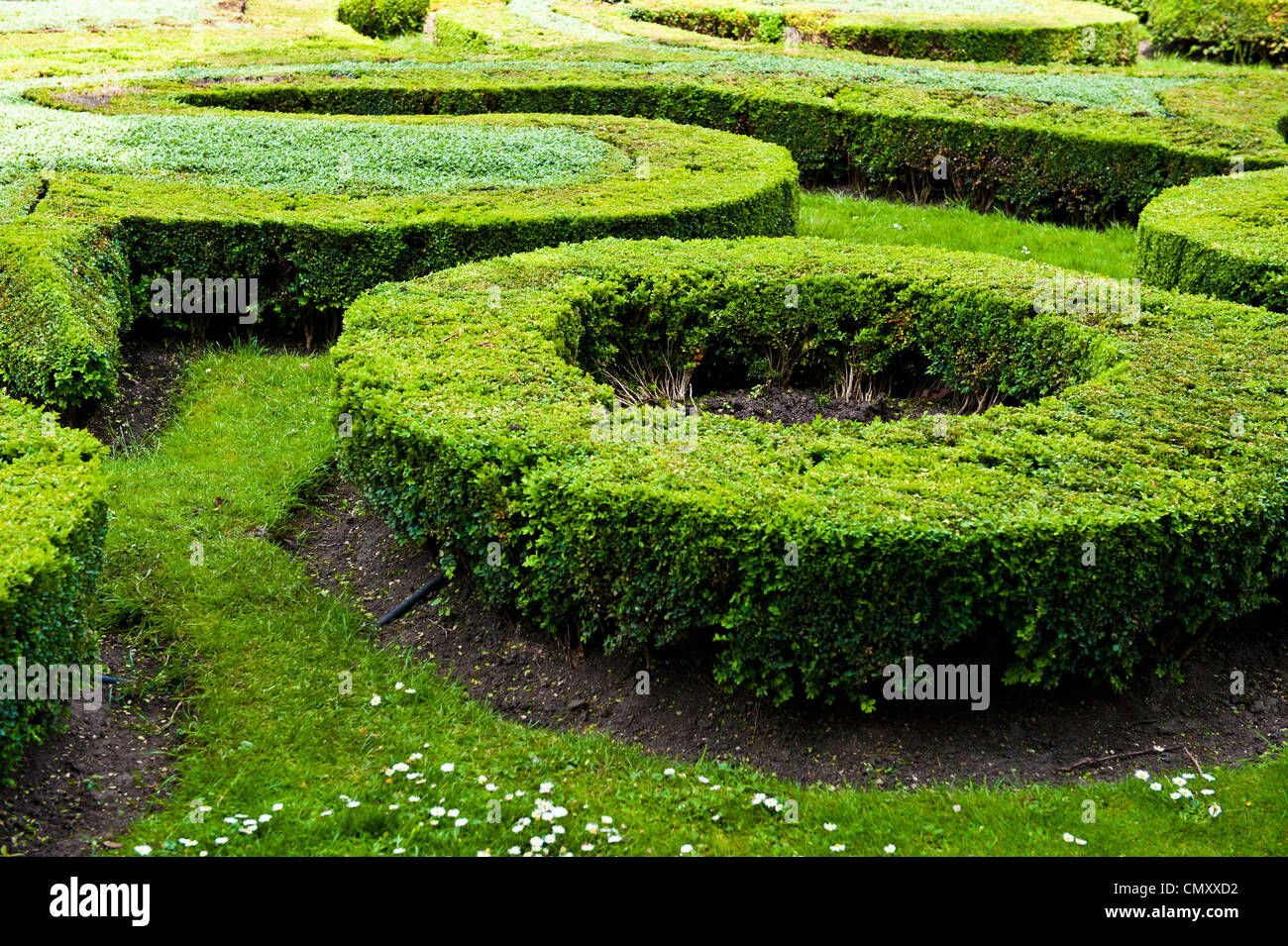 Maze garden hi-res stock photography and images - Alamy