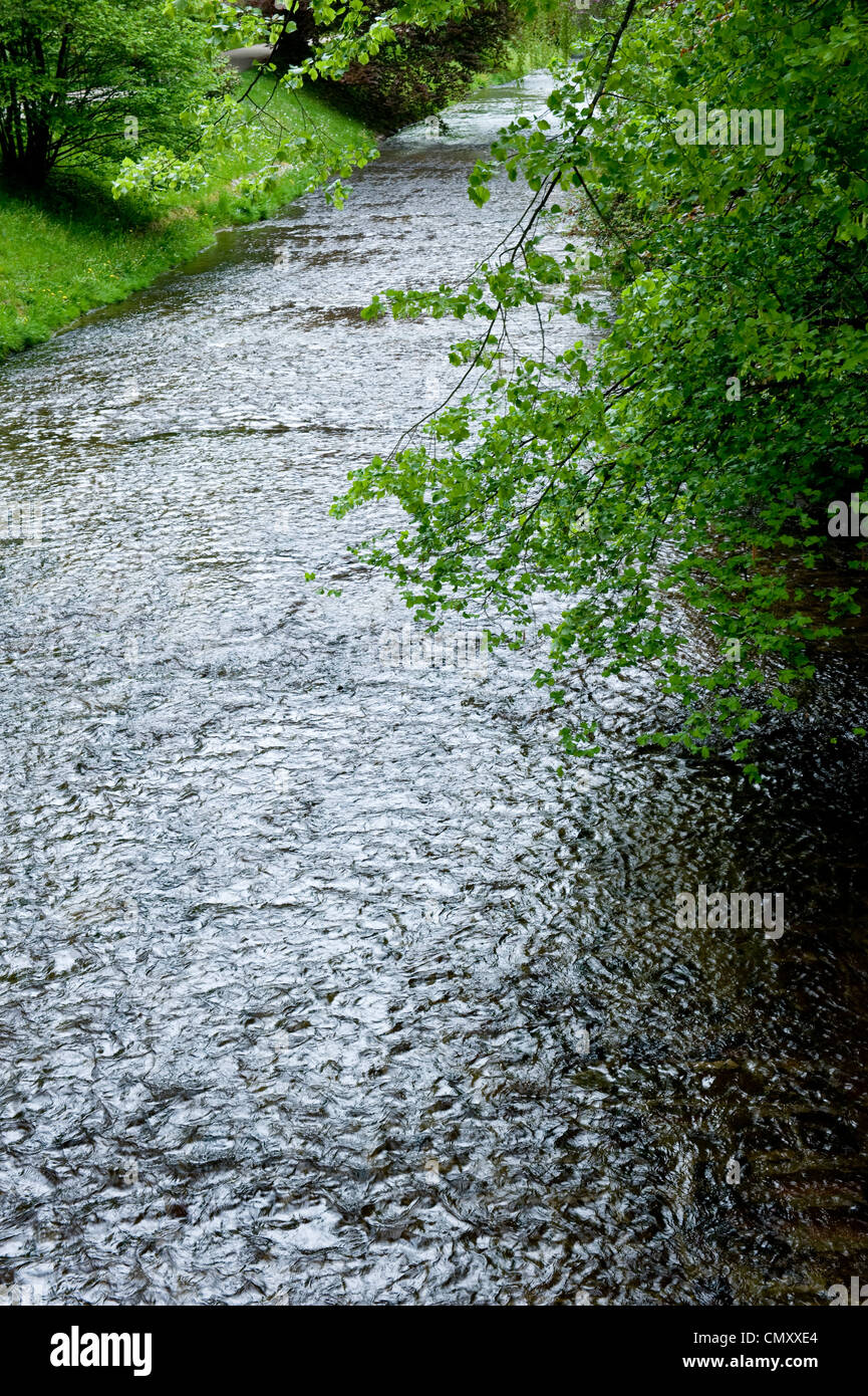 An image of a refreshing and tranquil stream of water amidst lush ...