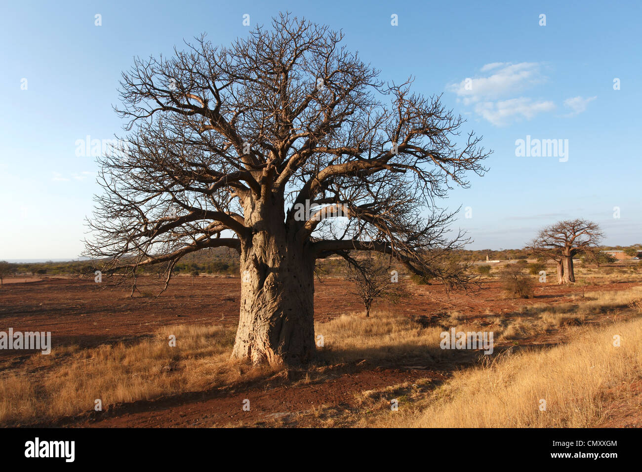 Rsa republic hi-res stock photography and images - Alamy