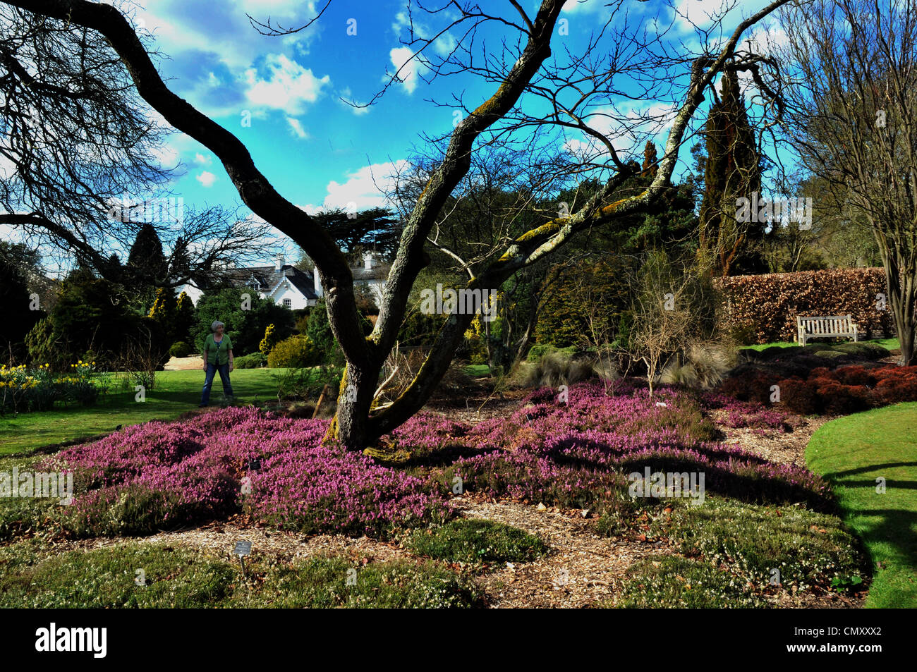 Heather gardens hi-res stock photography and images - Alamy