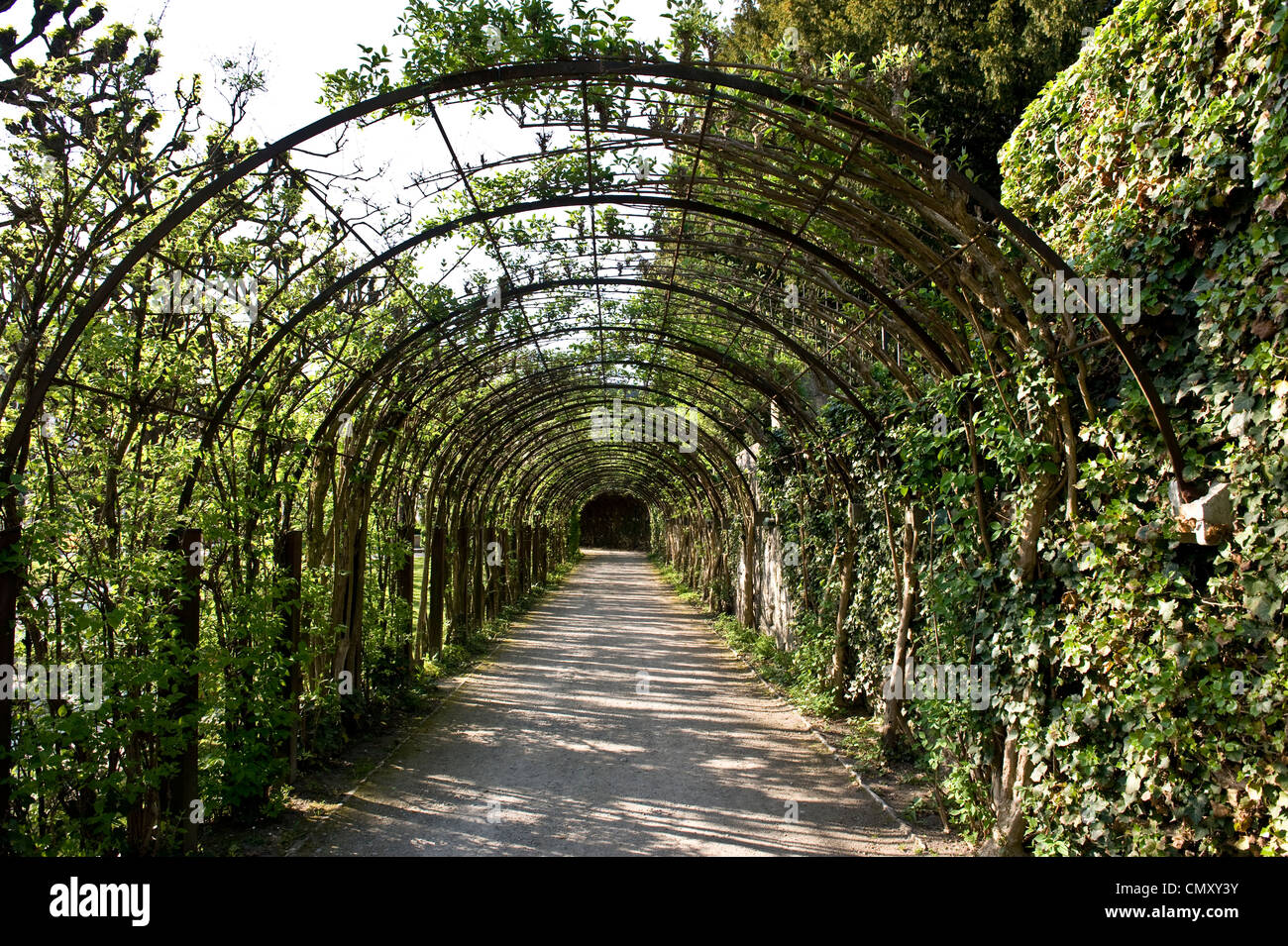 Path for walking hi-res stock photography and images - Alamy