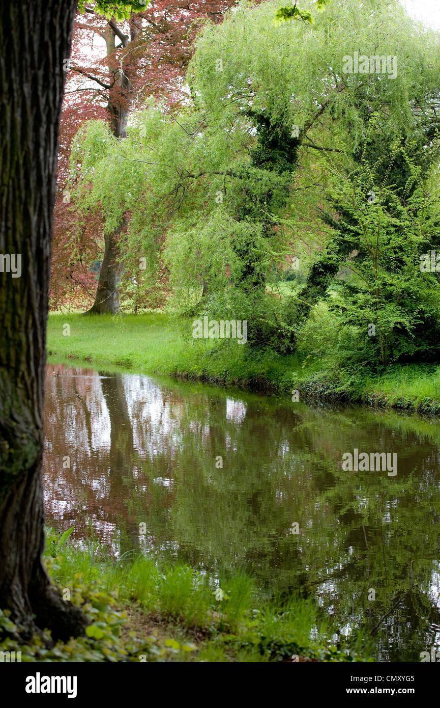 Green trees reflection hi-res stock photography and images - Alamy
