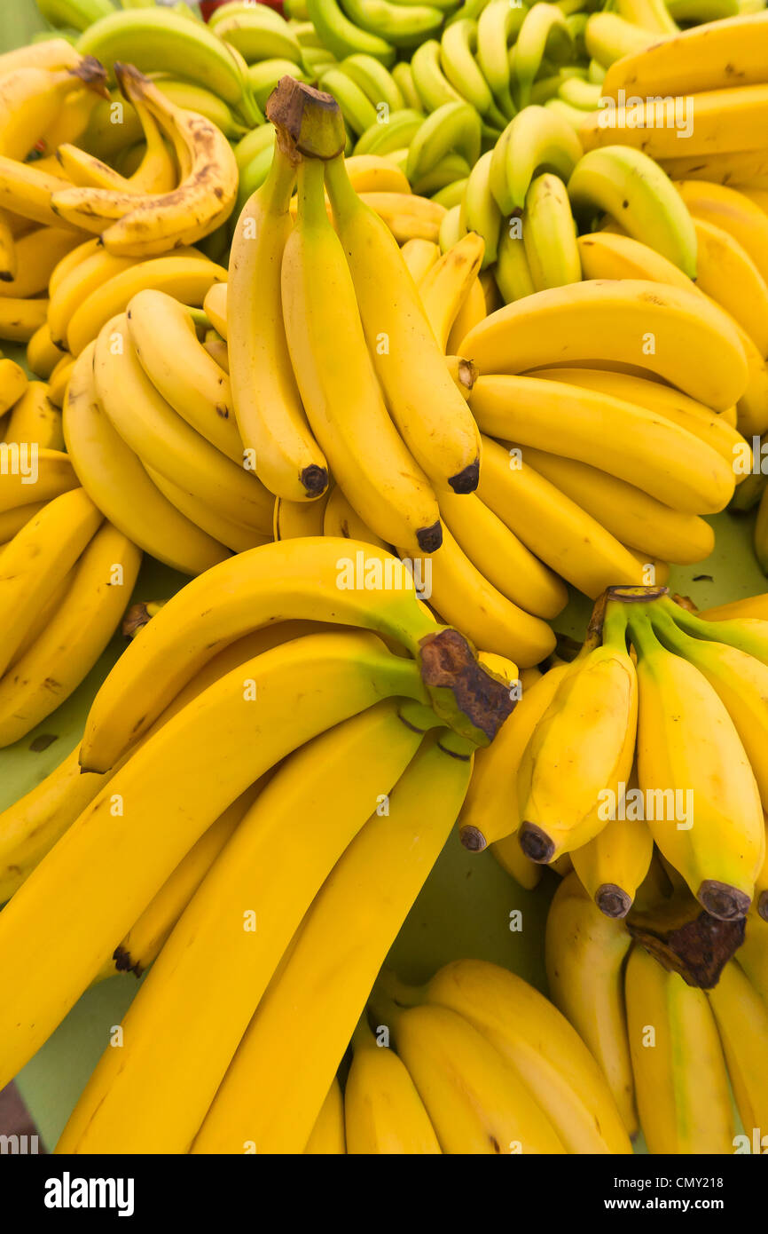 Bunches of yellow bananas Stock Photo - Alamy