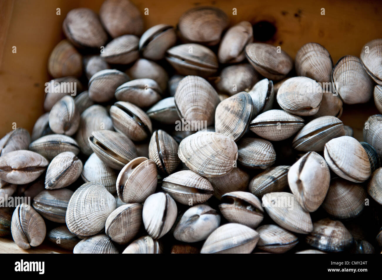 A closeup of clams in a wood container in an outdoor food market Stock ...