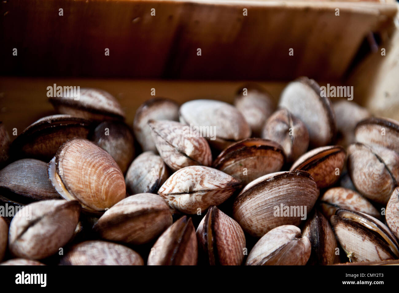A group of clams in a wood container Stock Photo - Alamy