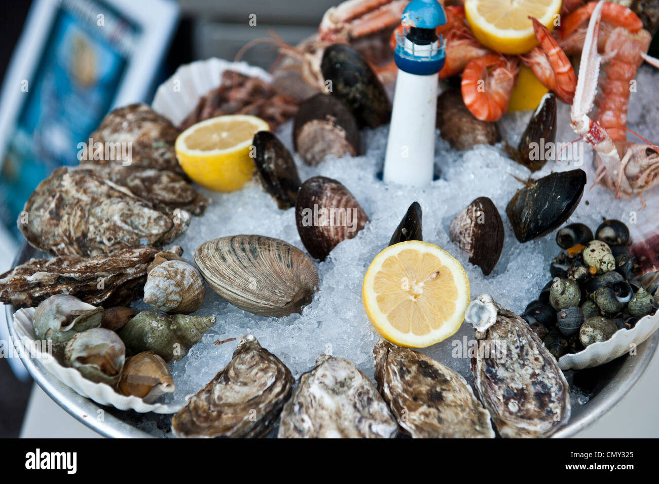 Arrangement of cold seafood Stock Photo - Alamy