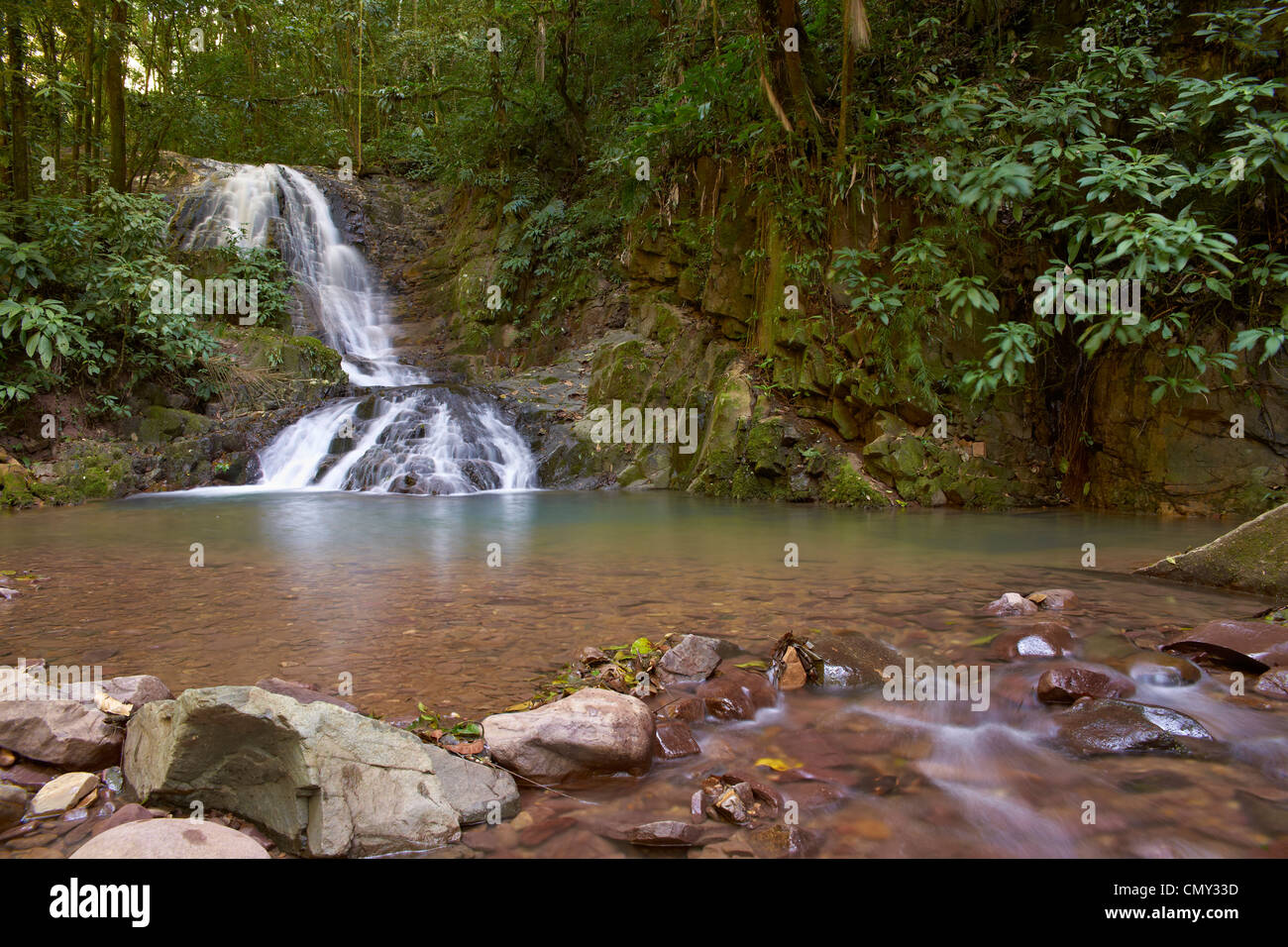Waterfall in the Atlantic Rainforest Stock Photo - Alamy