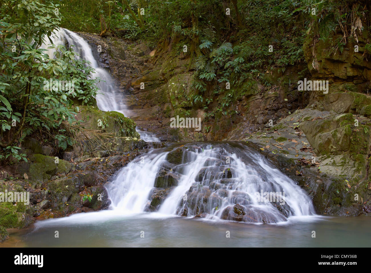 Waterfall in the Atlantic Rainforest Stock Photo - Alamy