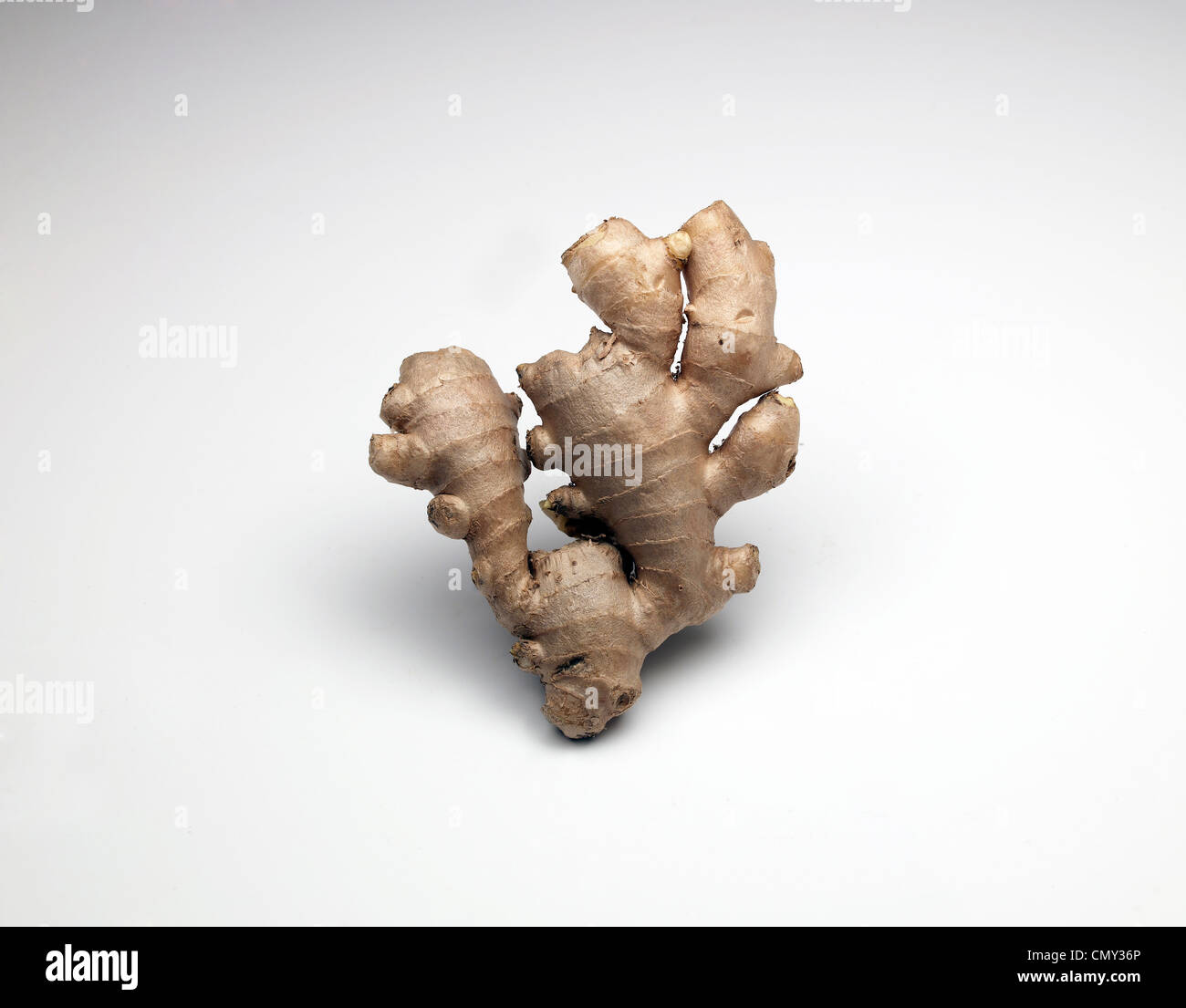 Stick of Ginger Root on White Stock Photo - Alamy