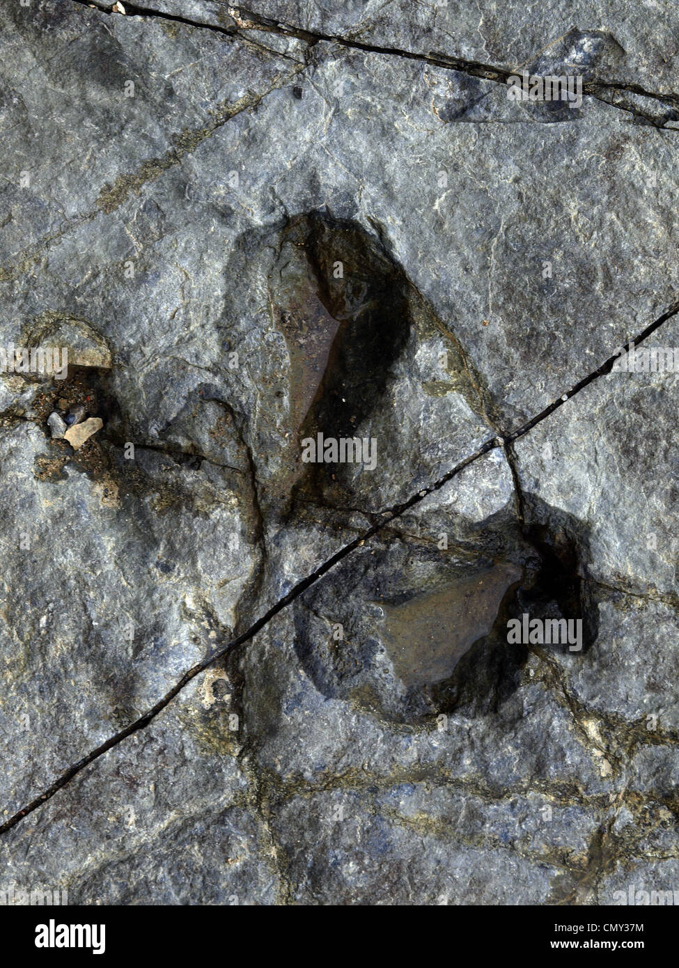 old prehistoric footprints Stock Photo - Alamy