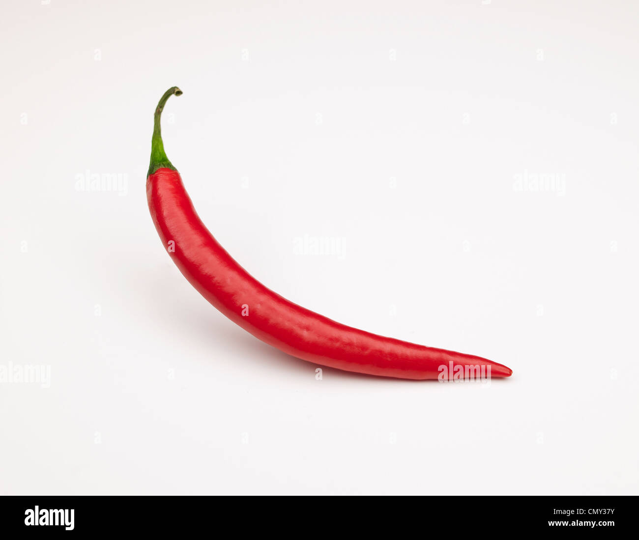 Red Chili single on plain background Stock Photo - Alamy