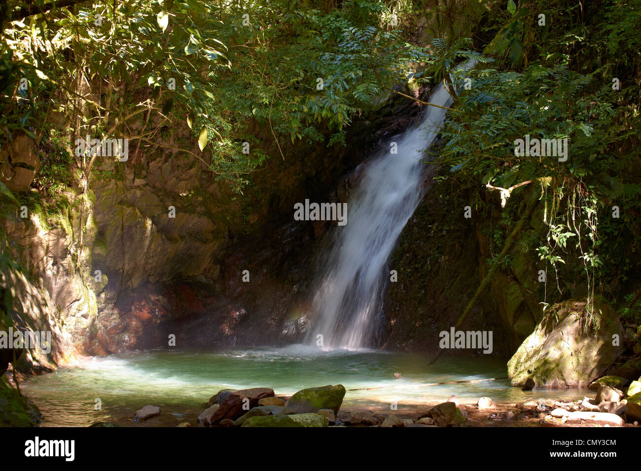 Waterfall in the Atlantic Rainforest Stock Photo - Alamy