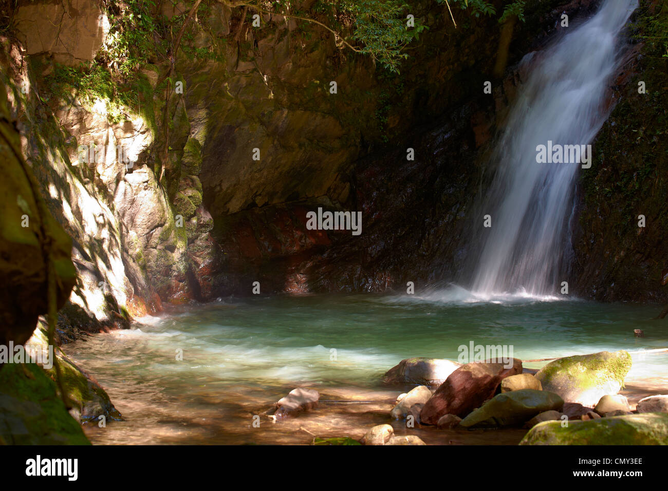 Waterfall in the Atlantic Rainforest Stock Photo - Alamy