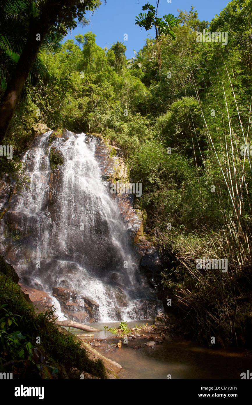 Waterfall in the Atlantic Rainforest Stock Photo - Alamy
