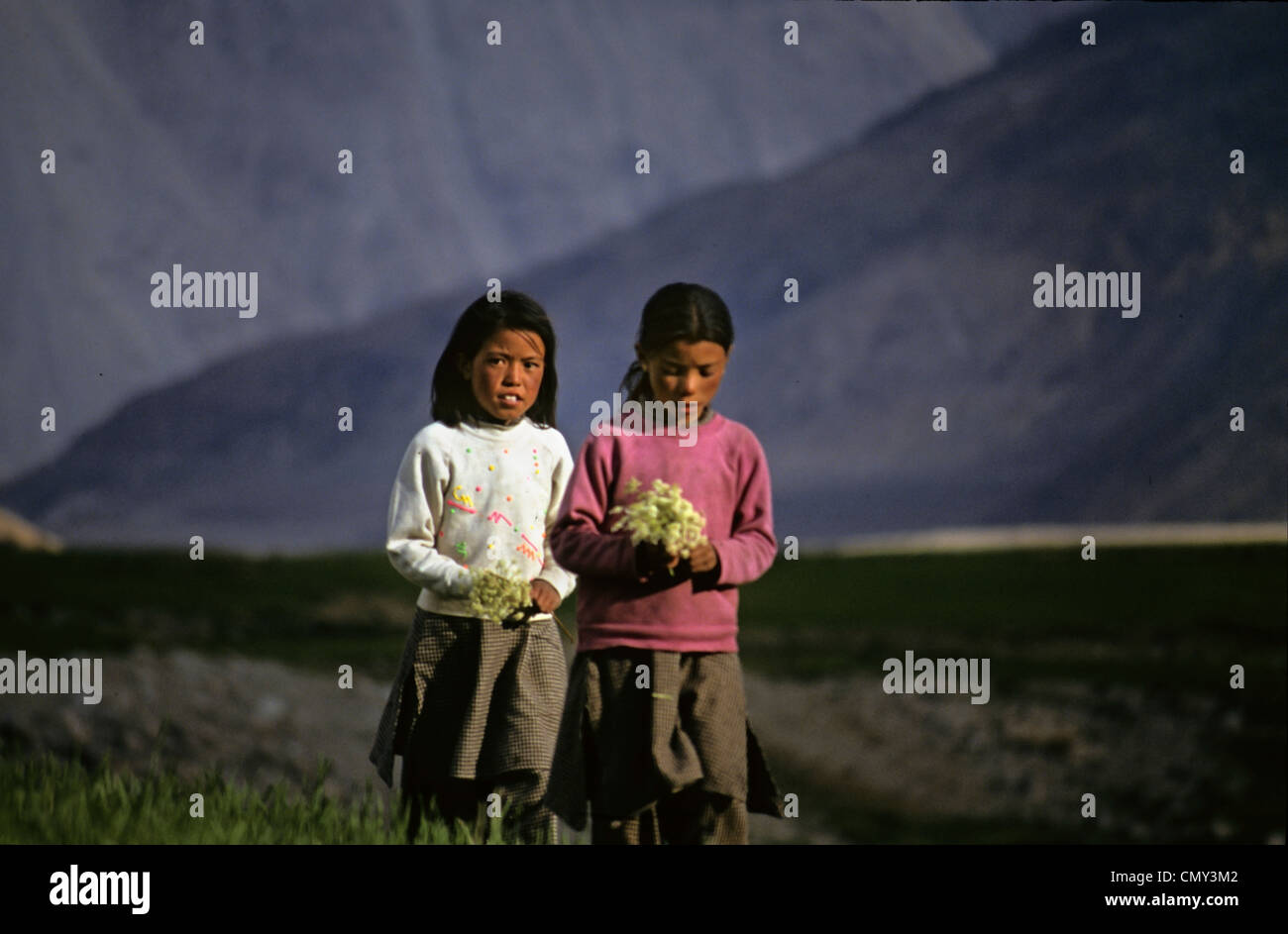 children in the himalayas Stock Photo - Alamy
