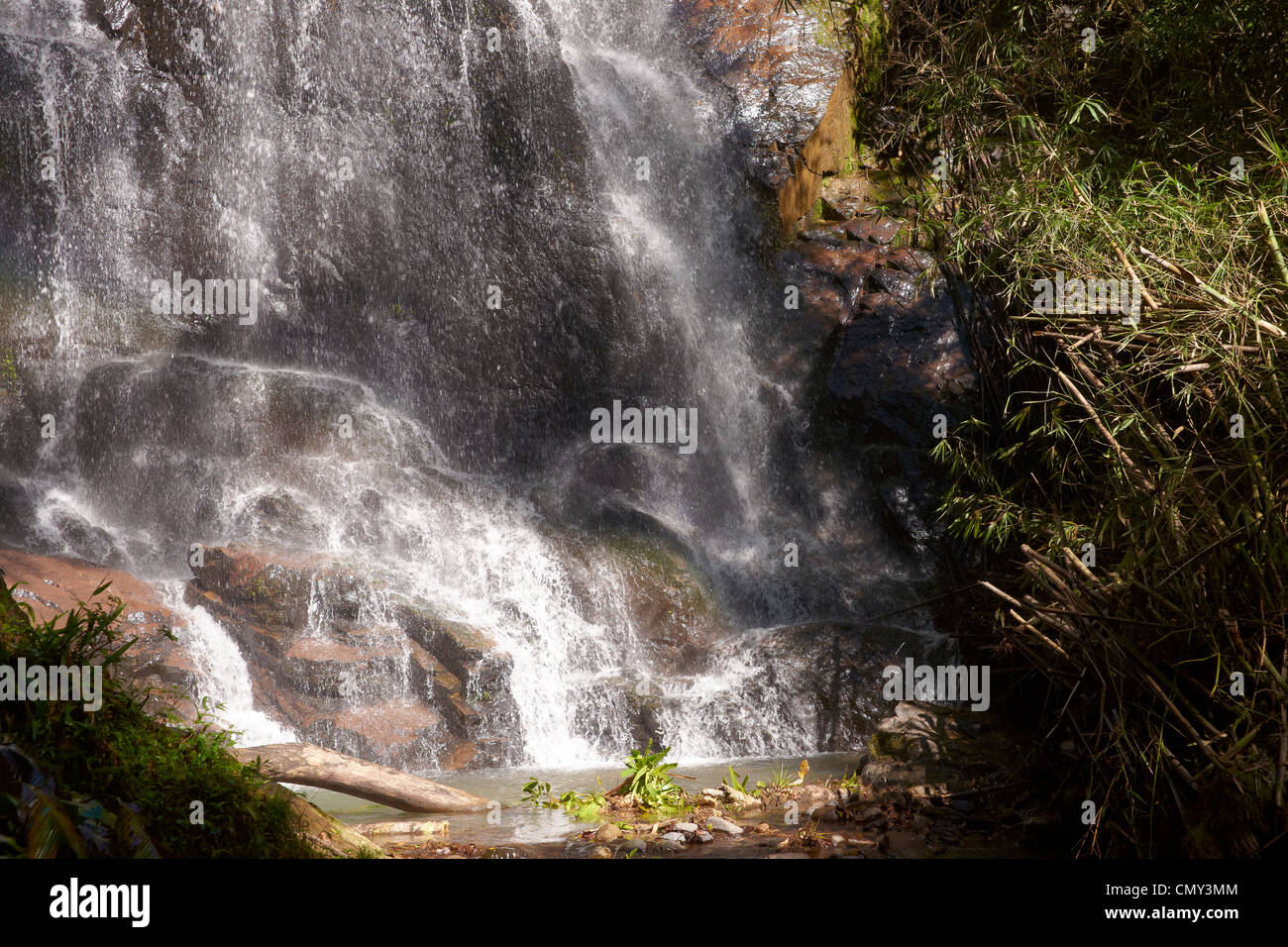 Waterfall in the Atlantic Rainforest Stock Photo - Alamy