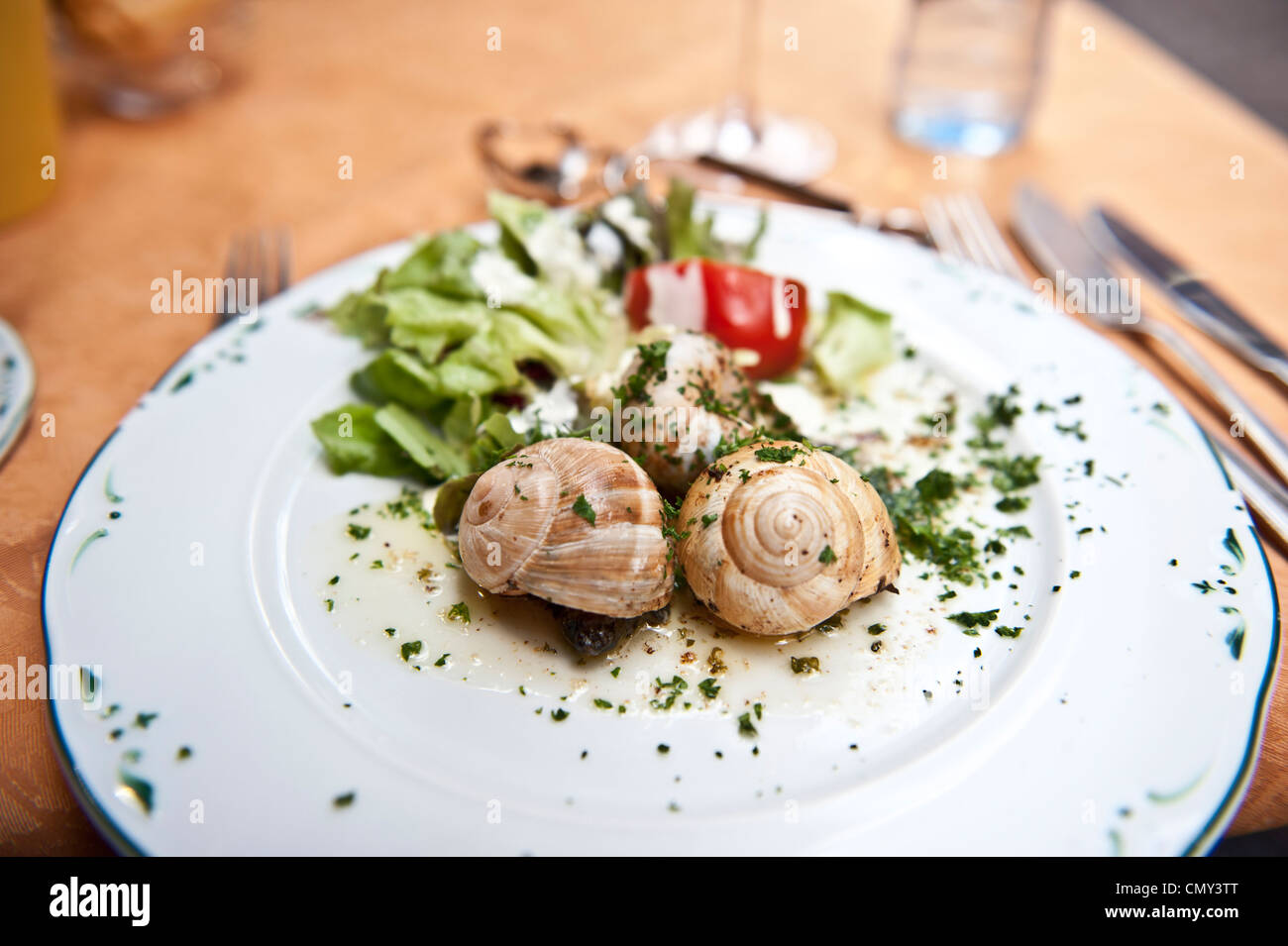 A delicious plate of uneaten snail Stock Photo - Alamy