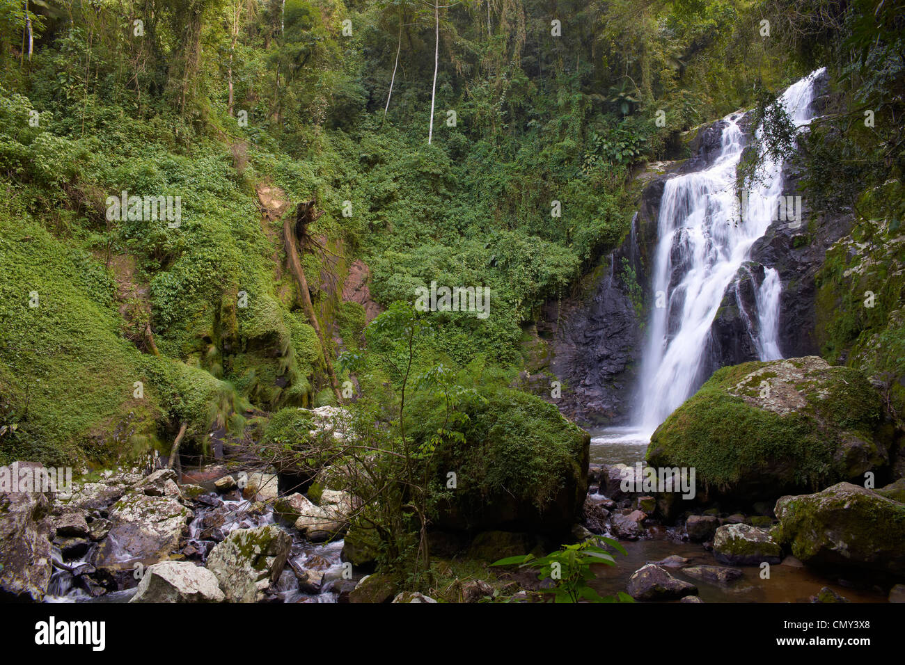 Waterfall in the Atlantic Rainforest Stock Photo - Alamy