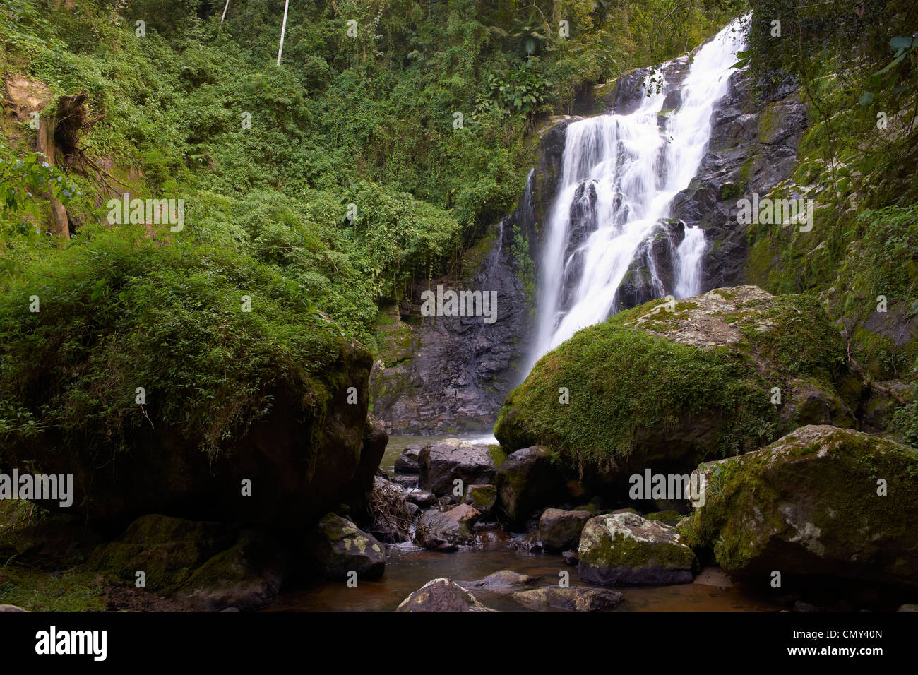 Waterfall in the Atlantic Rainforest Stock Photo - Alamy