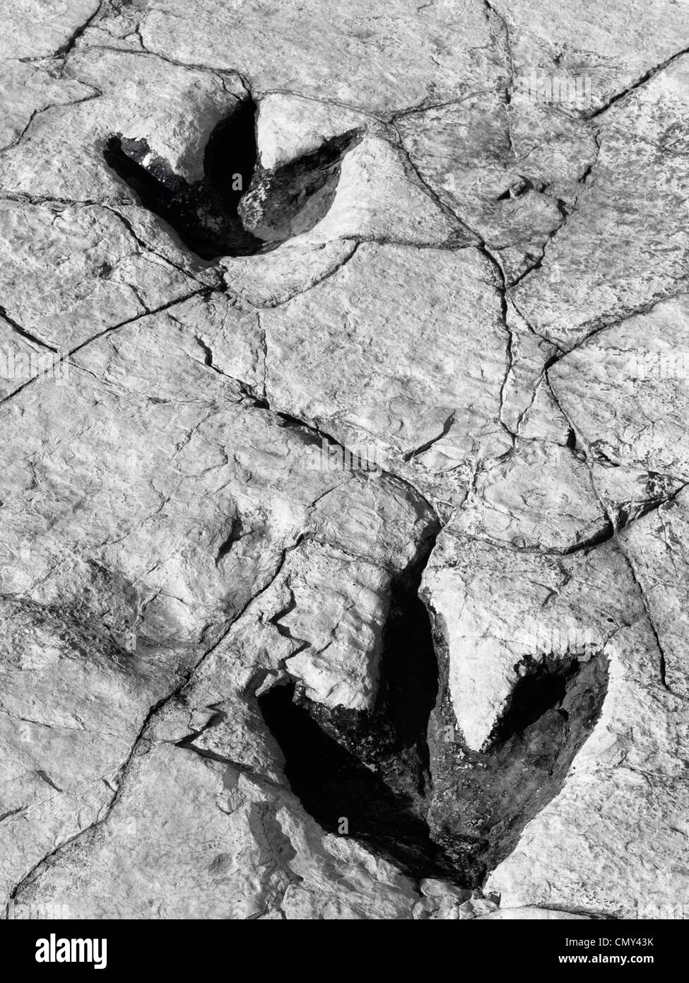 Prehistoric footprints hi-res stock photography and images - Alamy