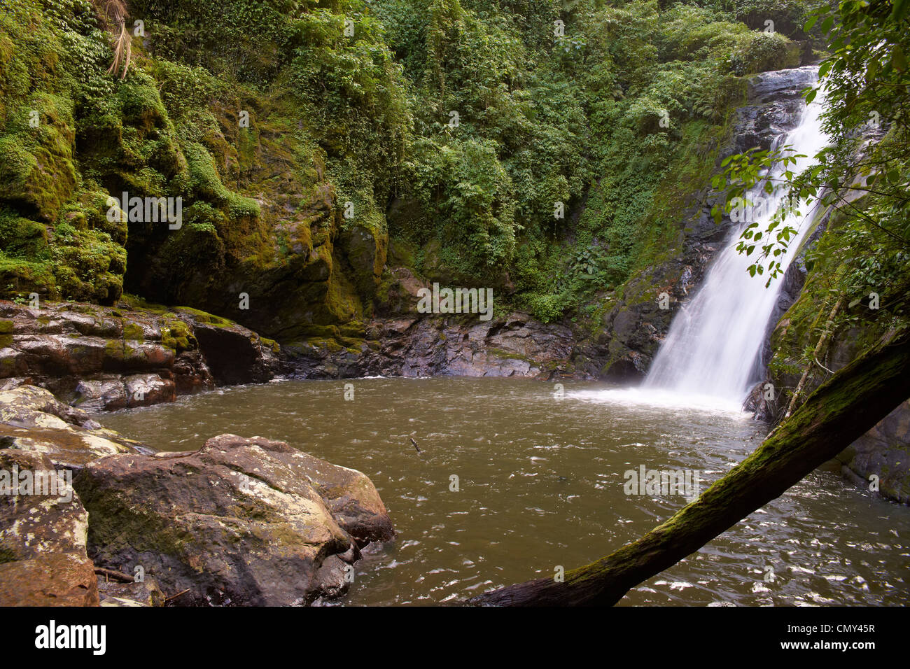 Waterfall in the Atlantic Rainforest Stock Photo - Alamy