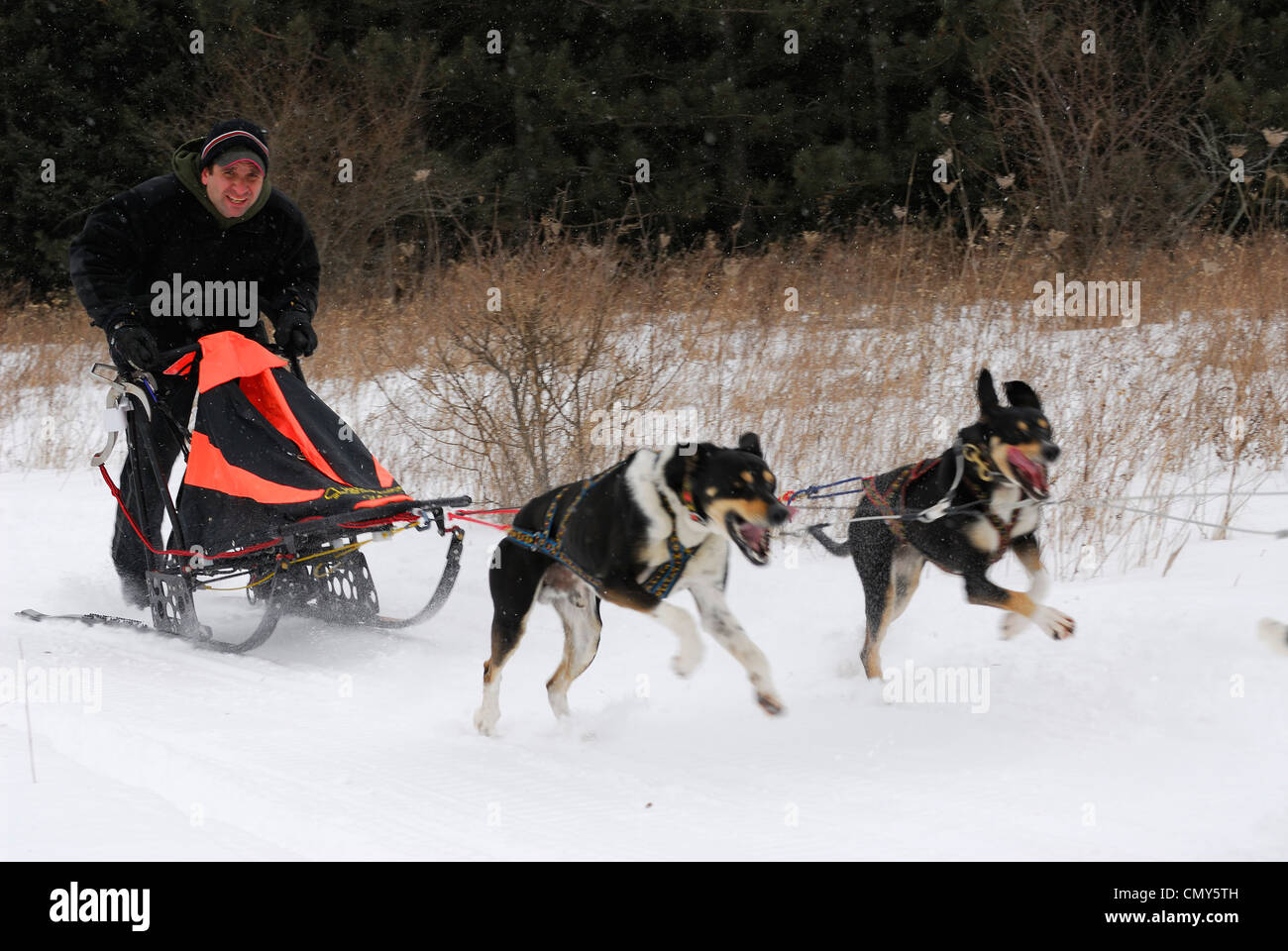 Pull push sled hi-res stock photography and images - Alamy