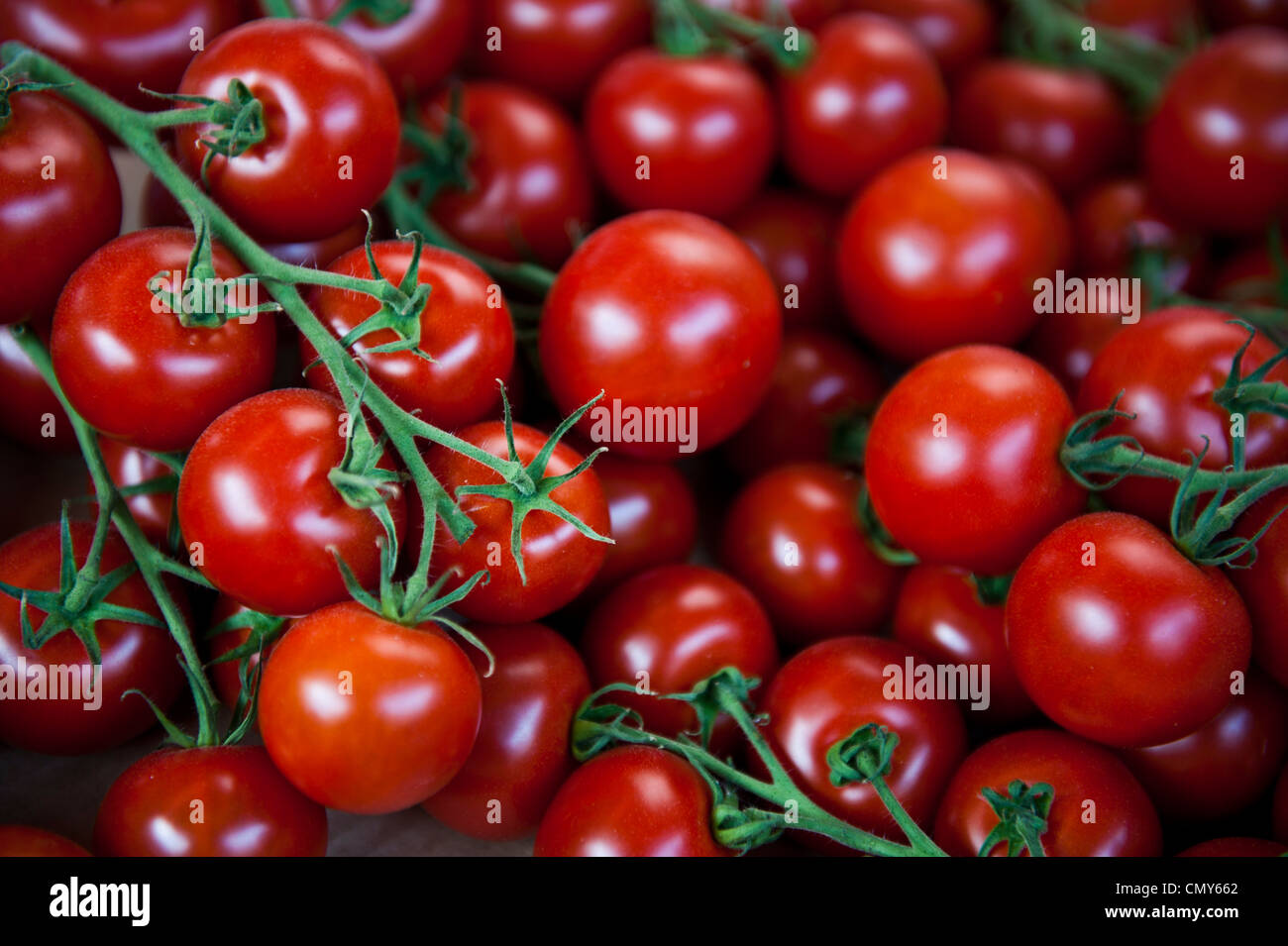 A bunch of little tomatoes Stock Photo - Alamy