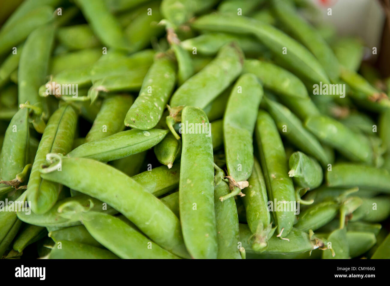 Snap pea farming hi-res stock photography and images - Alamy