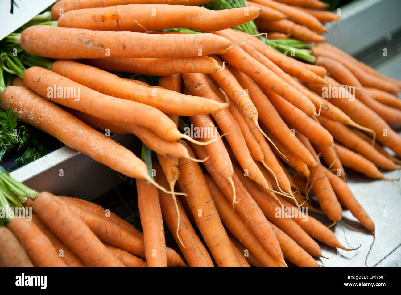 A bright shot of carrots on stalks Stock Photo - Alamy