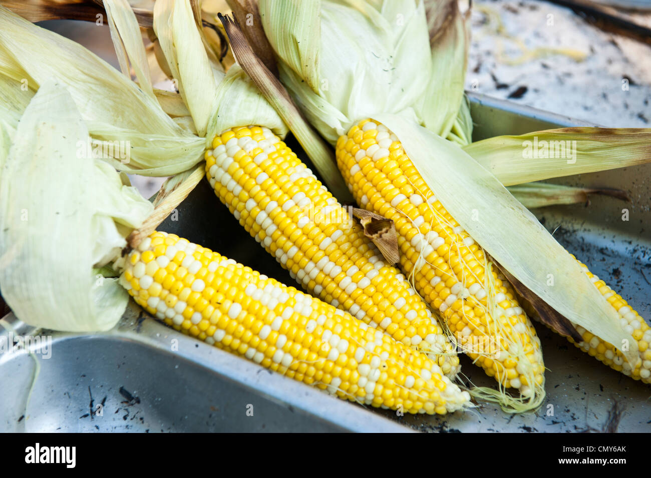 The corn on the cobs stacked in a tray Stock Photo - Alamy