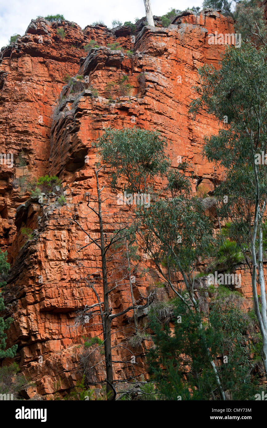 Cliff walls in Alligator Gorge Stock Photo - Alamy