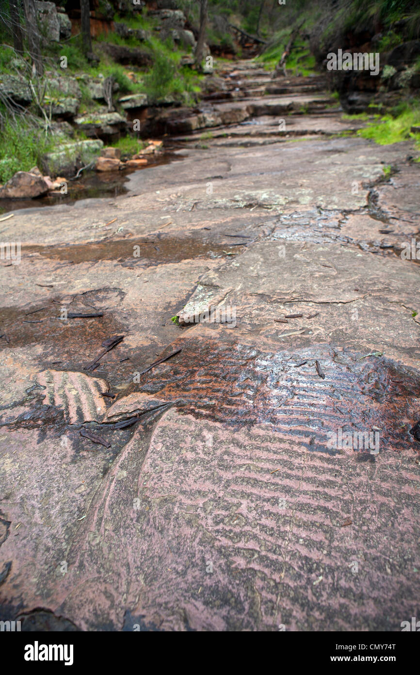 Rippled stone at The Terraces, evidence of an ancient sea bed, in ...