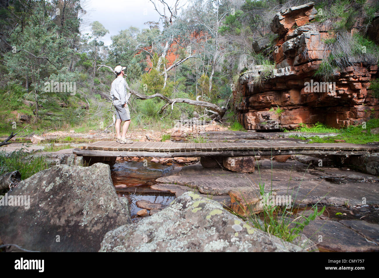 Hiker in Alligator Gorge Stock Photo - Alamy