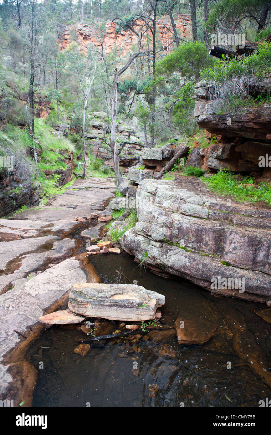 Alligator creek hi-res stock photography and images - Alamy
