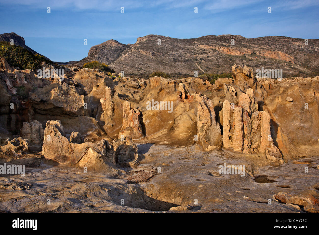 The petrified forest of Cavomalias (Cape Maleas), close to Neapolis town, Vatika, Lakonia ...