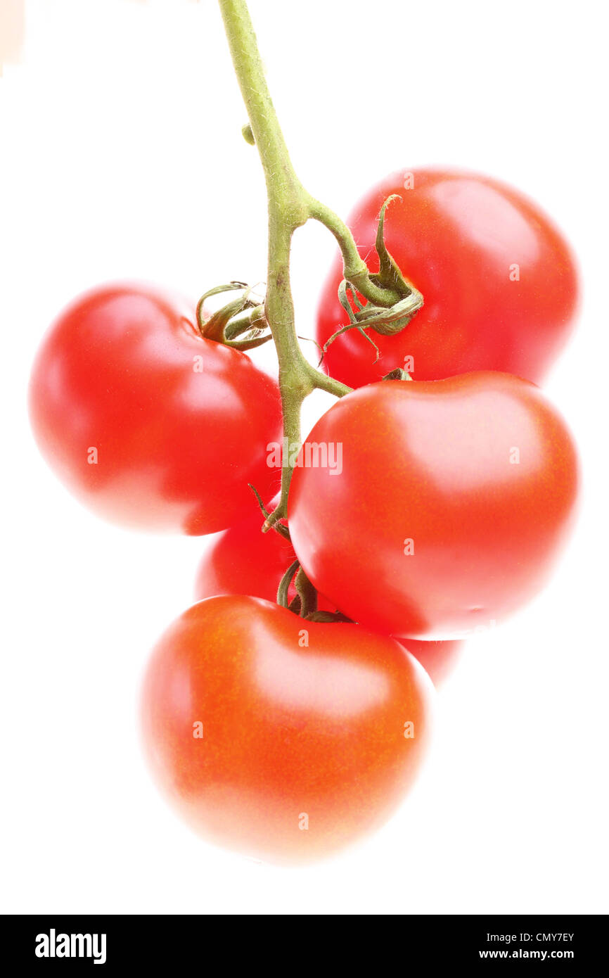 Tomato isolated on white background Stock Photo - Alamy
