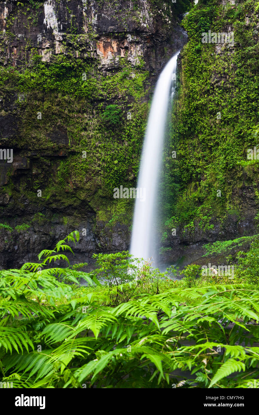 Nandroya Falls in Wooroonooran National Park, Innisfail, Queensland ...
